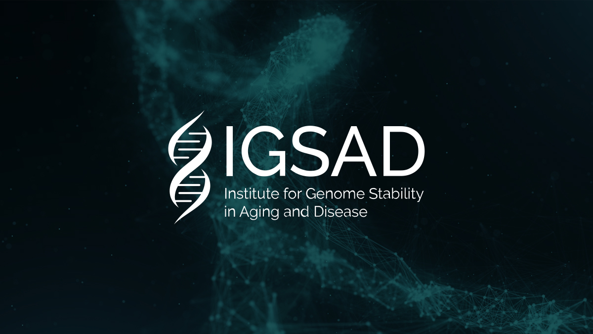 Meyer Archives - The Institute for Genome Stability in Ageing and Disease